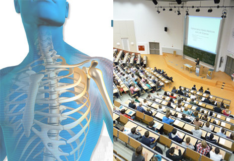 Studiengang Medizinische Informatik: Universität zu Lübeck